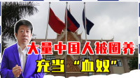 不能去柬埔寨了?大量中国人被圈养充当“血奴”,中使馆已发声了