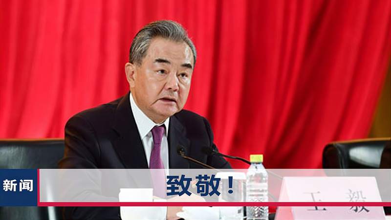 外交战线“两优一先”表彰名单公布,王毅发表重要讲话