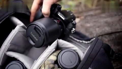 松下LUMIX GH4 动物摄影摄像体验