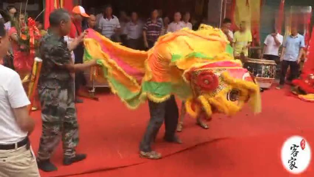 头戴“卡通帽”的舞狮,你看过没?