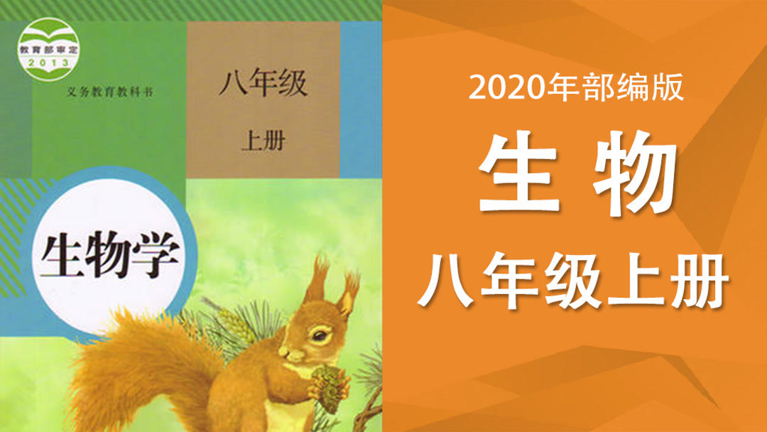 《线形动物和环节动物》