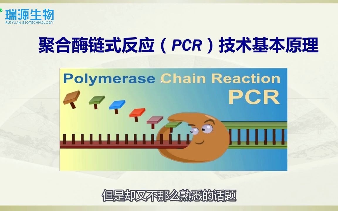 聚合酶链式反应(PCR)技术基本原理