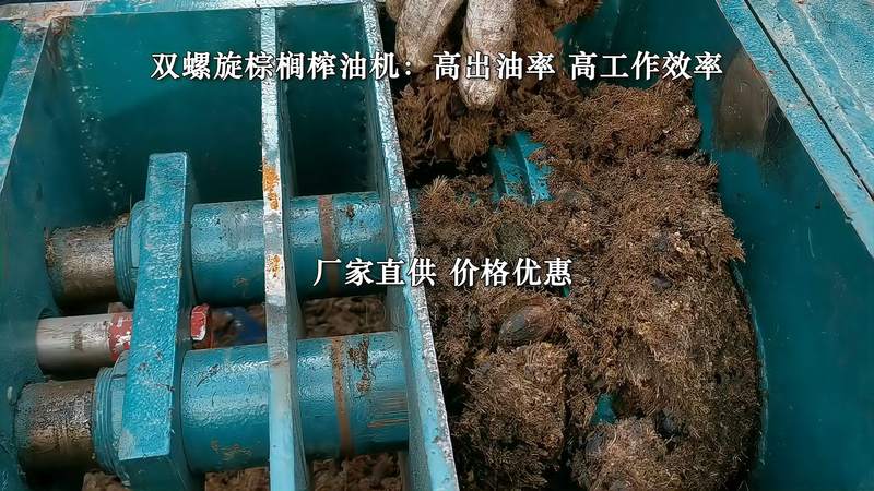 带您直视双螺旋棕榈榨油机出渣情况