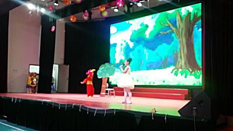 20170509讲故事表演《森林里的故事》