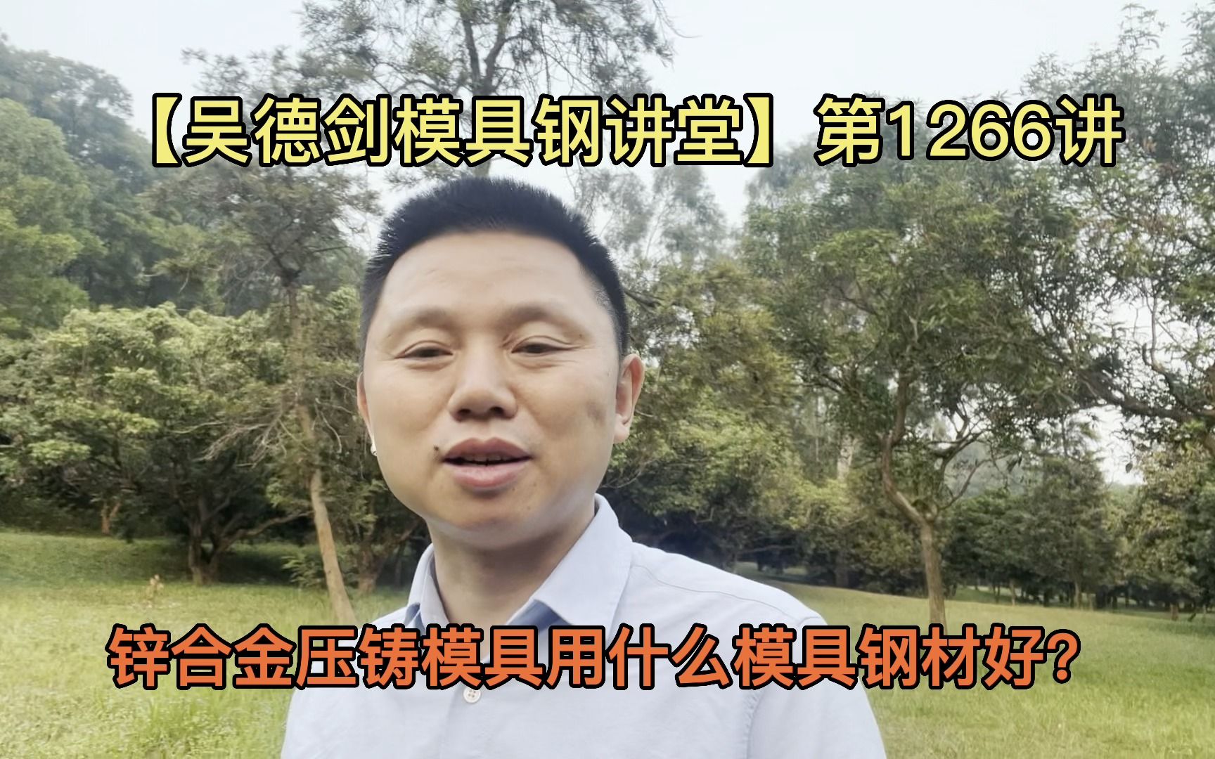 要求长寿命的压铸模具用LG模具钢,不腐蚀,耐磨损,不涂层,寿命长。