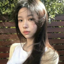 一只美乐蒂 