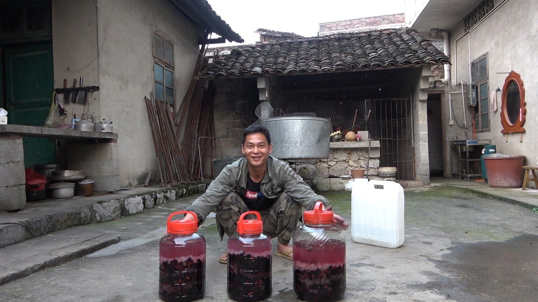 制作桑葚酒,这几个步骤不能乱,阿琪教大家如何泡制,一起去看看
