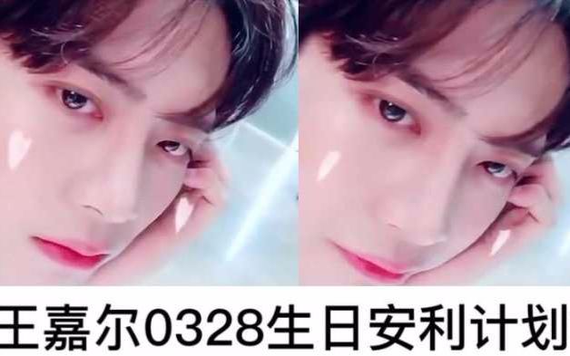 【王嘉尔】王嘉尔0328生日安利计划01【试水版】