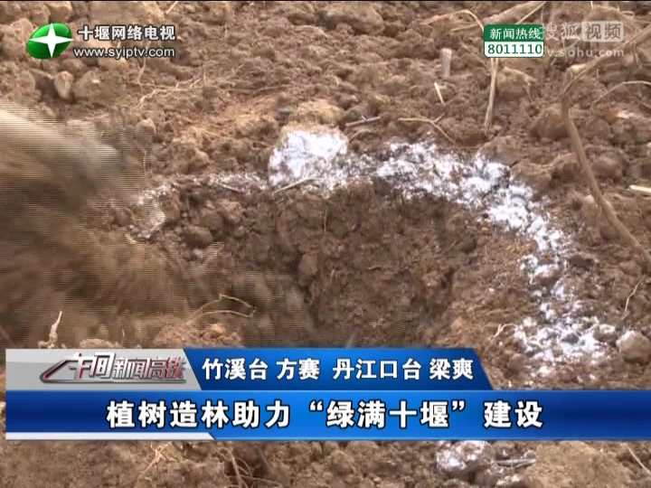 植树造林助力“绿满十堰”建设