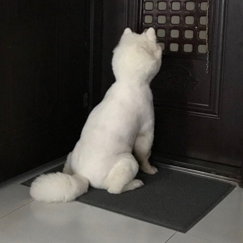 無边の夢 