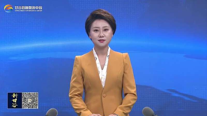 县残联举行残疾人精准康复服务启动仪式