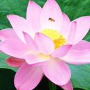 赣南后生子 