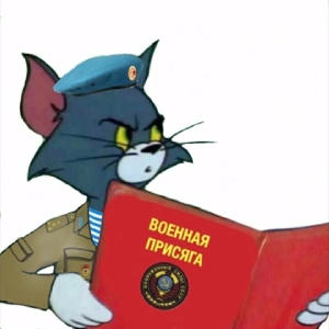 一只特别中二的沙雕 