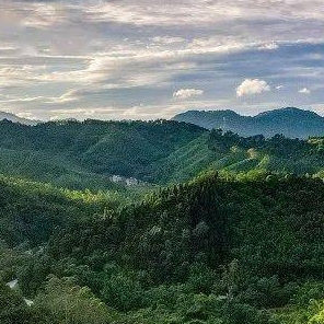 柳州抗战遗址咨询 