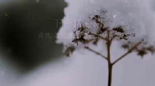 有人听过这首歌吗?歌名:下一话心动