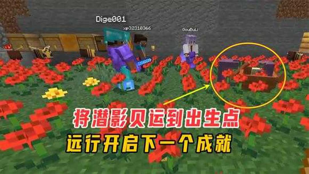 我的世界1.16联机499:将潜影贝运到出生点,远行开启下一个成就