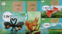 4.22 7-3-2 生物进化的历程