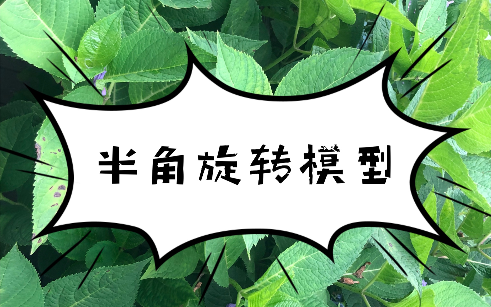 全等三角形之【半角旋转模型】,快来学习吧～