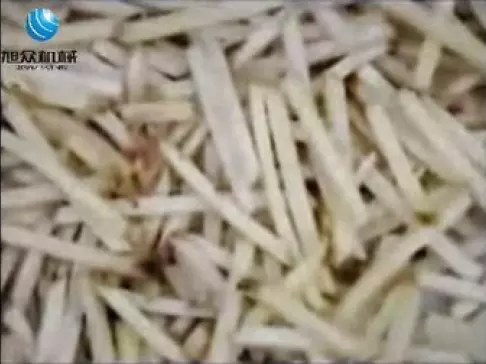 薯条机,薯条切片机现场操作视频