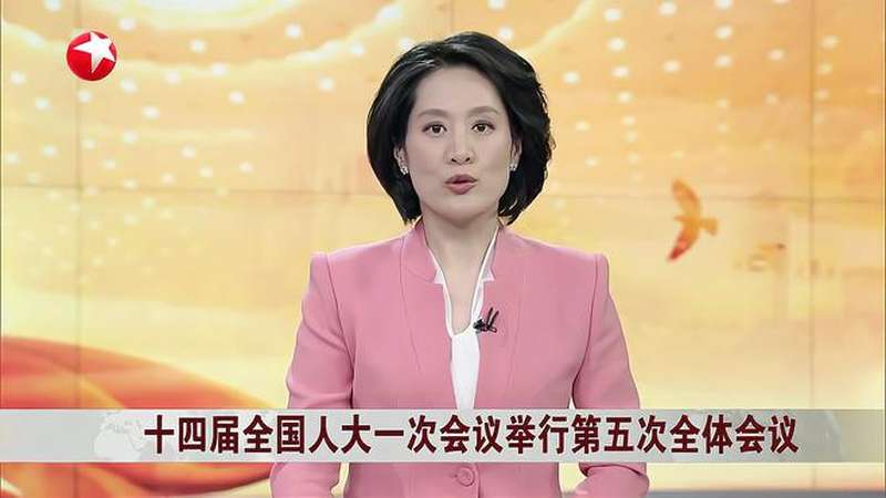 十四届全国人大一次会议举行第五次全体会议