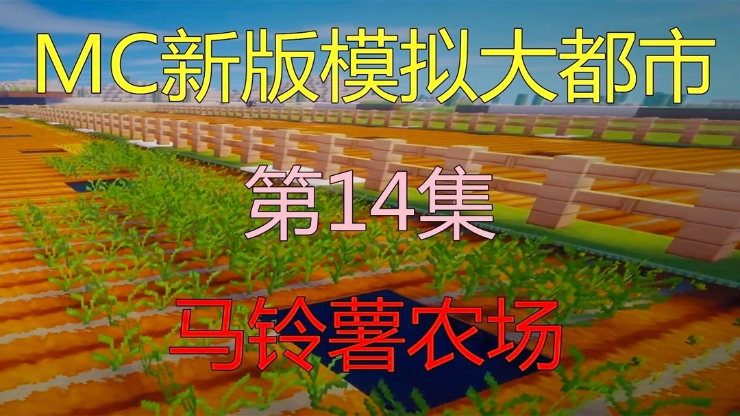 我的世界:沫奇新版模拟大都市EP14 马铃薯农场