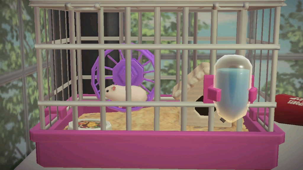 【动森】观察小仓鼠