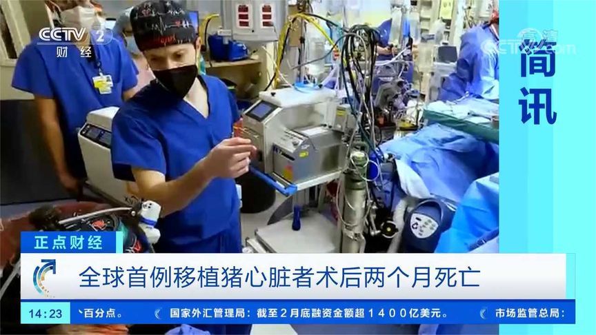 全球首例移植猪心脏者术后两个月死亡