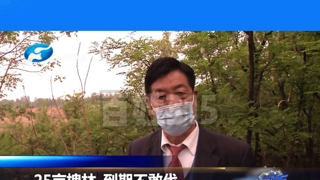 25亩槐林,到期不敢伐?林业局:要办采伐证@