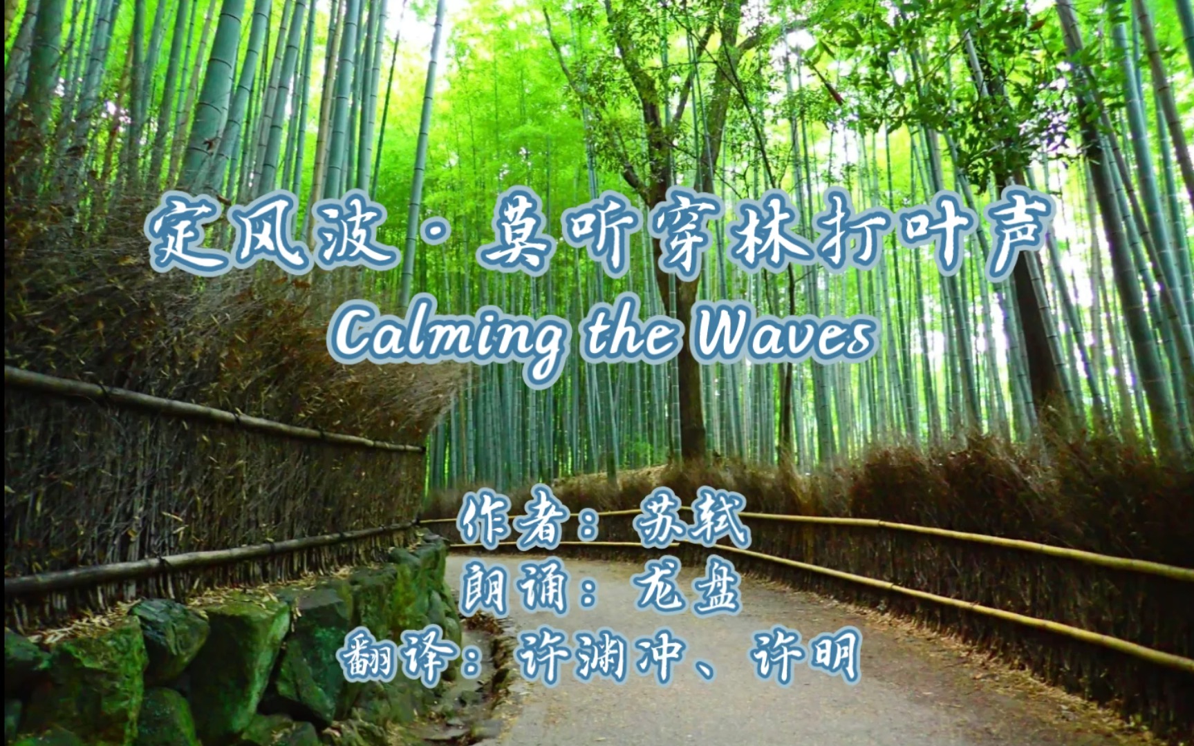 《定风波·莫听穿林打叶声》朗诵 by 龙盘/郝凡【中英字幕】