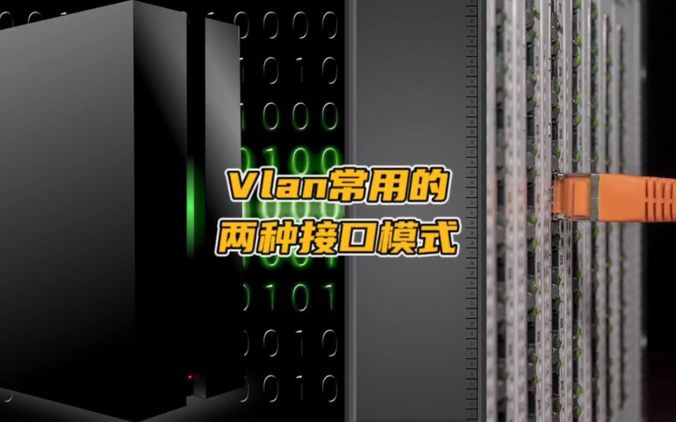 Vlan常用的两种接口模式
