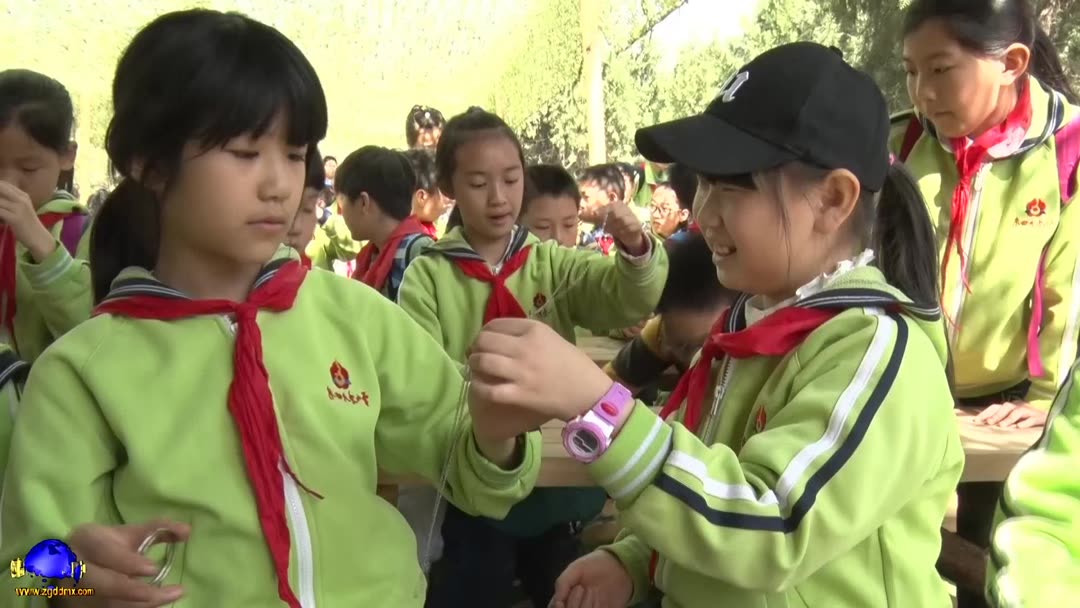 东四九条小学全校师生赴紫谷青少年实践基地进行社会实践活动