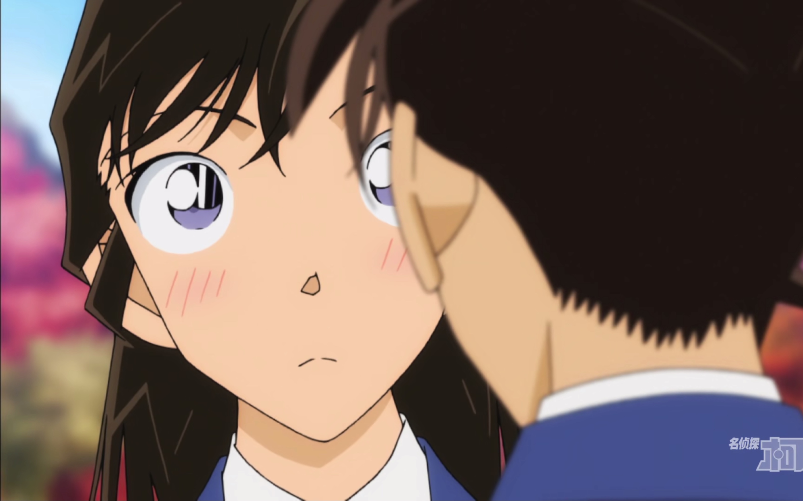 红色的修学旅行新兰片段