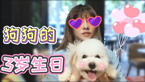 买了200元的宠物蛋糕,给狗狗小白过它的三岁生日!它也太幸福了