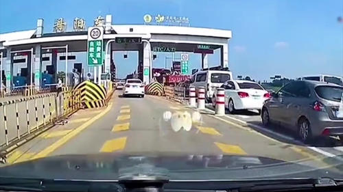 遇到ETC蹭卡怎么办,教你们这一招,以后就不会被蹭了