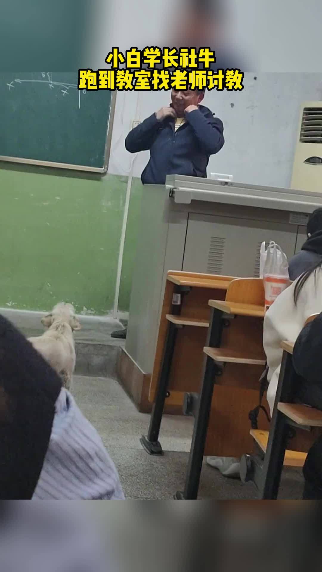 小白学长社牛,跑到教室找老师讨教