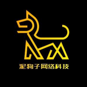 泥狗子传媒 