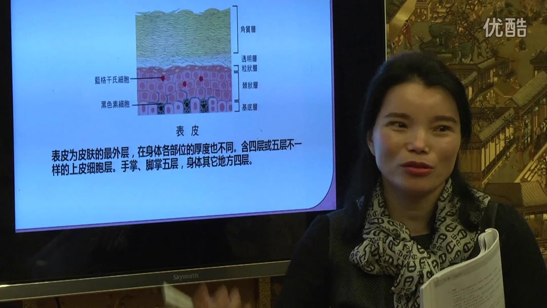 20160407皮肤生理学张医生4