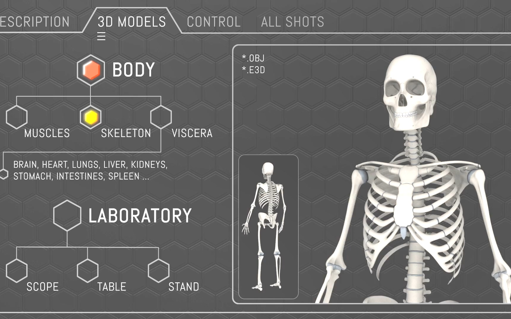 ...大脑,肝脏,肾脏,血管系统,消化道或肠胃功能384个预制场景(身体,大脑,...