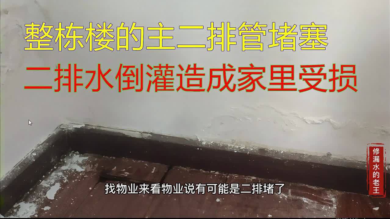 整栋楼的主二排管堵塞倒灌漏水到客户家,造成的损失应该谁负责?