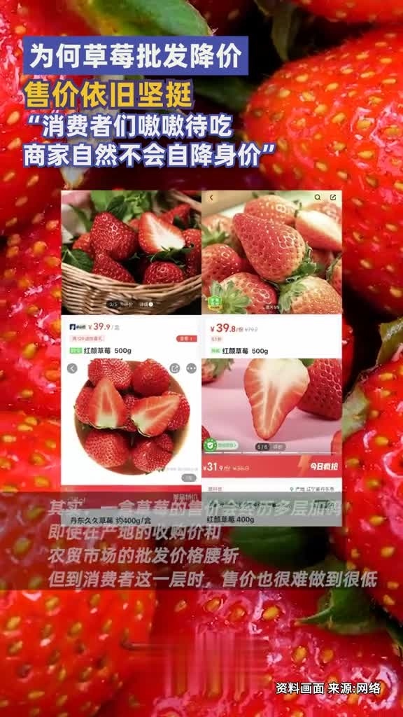为何草莓批发降价售价依旧坚挺