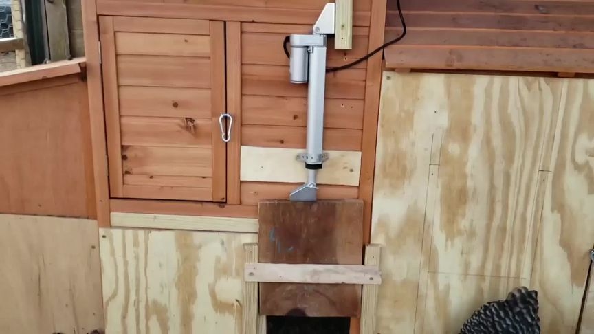 设计个定时开关门,鸡每天自己出去觅食,天黑回屋,密封性也很好