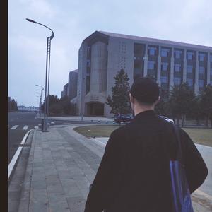 随心柯基 