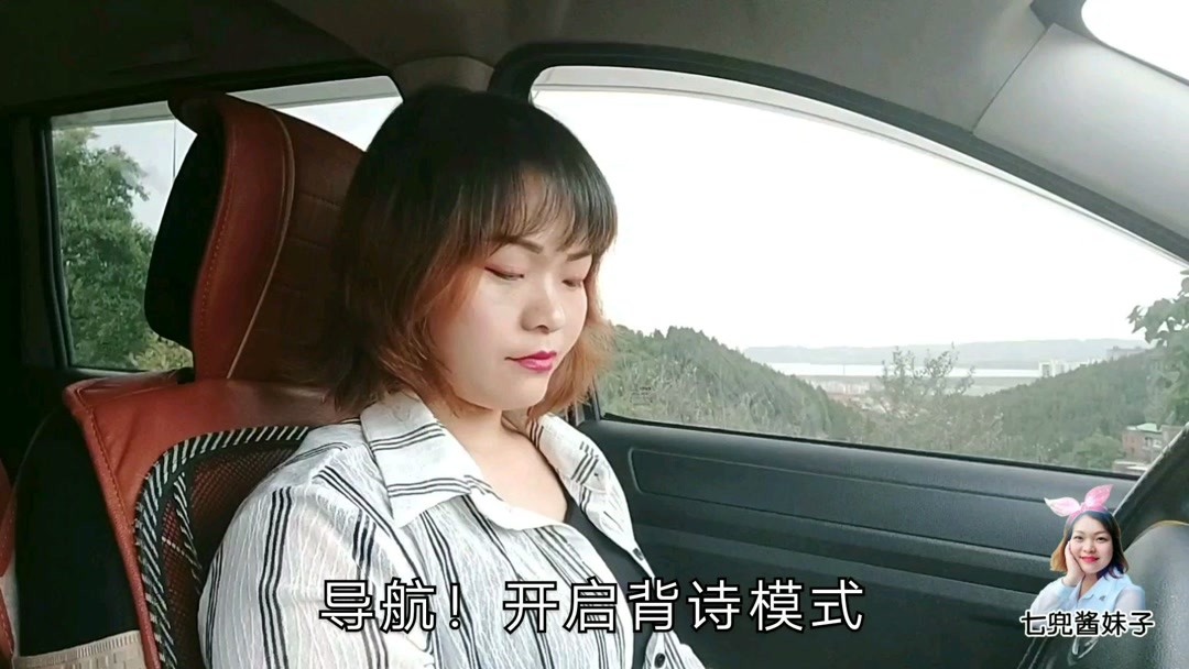 笑得我肚子疼:导航篡改古诗《春晓》女车主表示很无奈