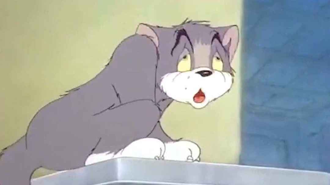 猫和老鼠搞笑动画:汤姆猫已经被吓得萎靡不振了,小老鼠做了什么