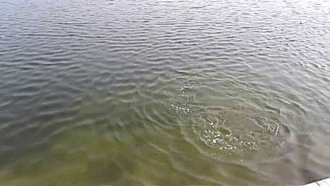 魔骑士路亚视频 路亚竿鼓轮视频 钓鱼视频