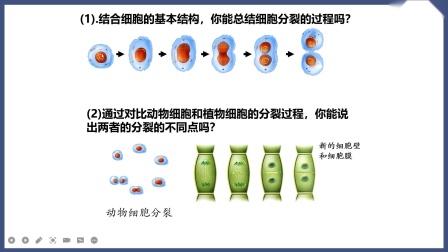 七上 2.3生物体的结构层次(第一课时)教学视频