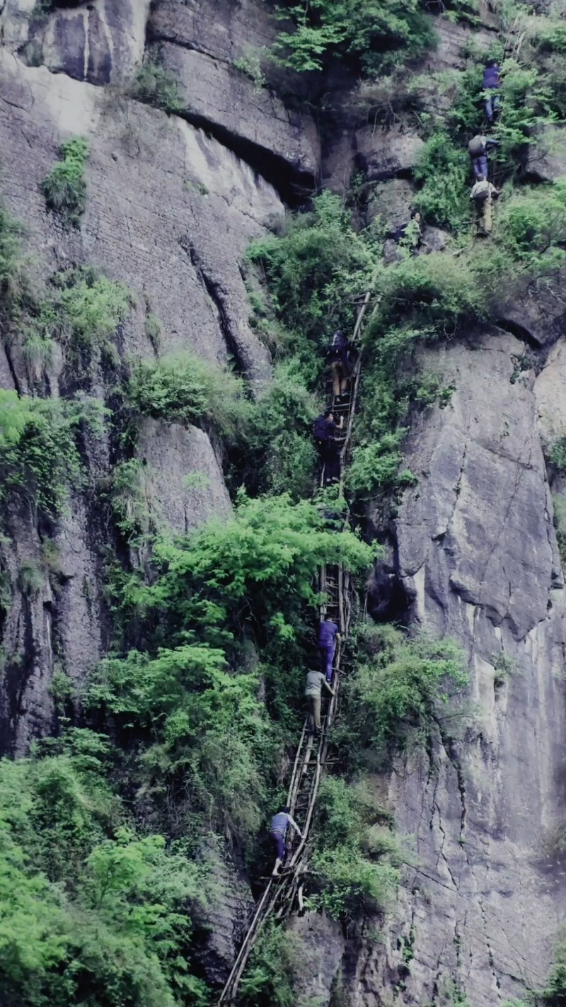 30秒,带您了解政协委员向总书记展示的“天梯”