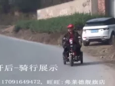 弗莱德巡弋者可伸缩电动三轮车可折叠可近电梯后轮双驱动差速电机
