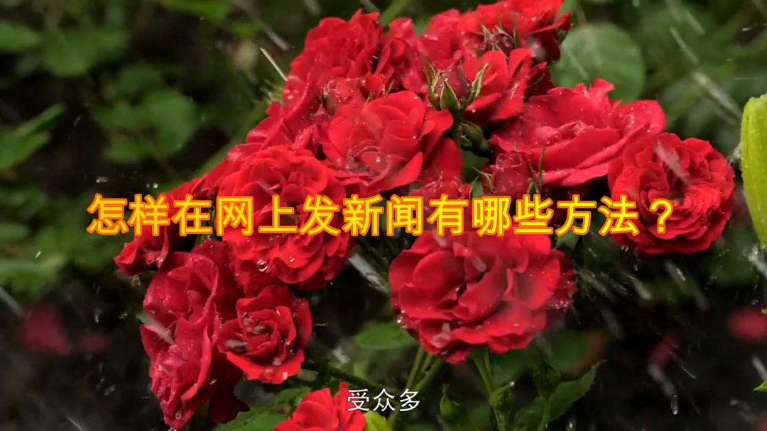 怎样在网上发新闻有哪些方法?
