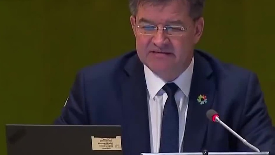 在国际会议中,为何我们的代表只说中文,日本的却说英语?